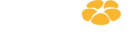 Somos parte de tu vida - Supermercados Paiz Guatemala | Tu súper a ...